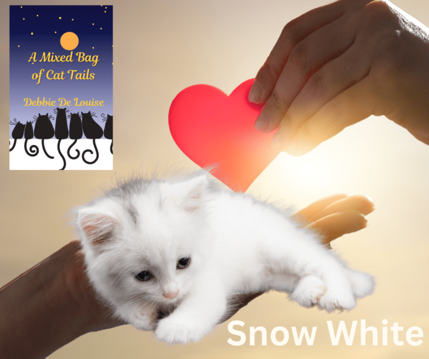 Ruff Drafts – Website and Blog of Debbie De Louise, Author, Retired ...